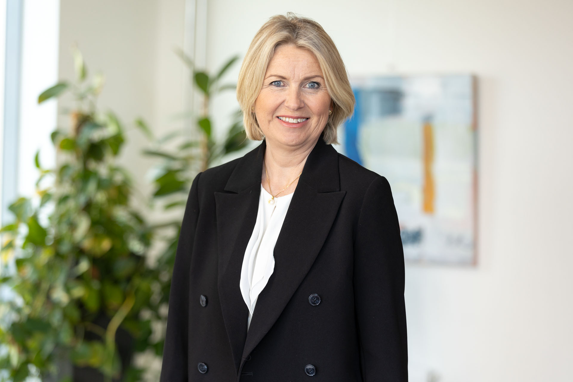 Styret - Helse Sør-Øst RHF